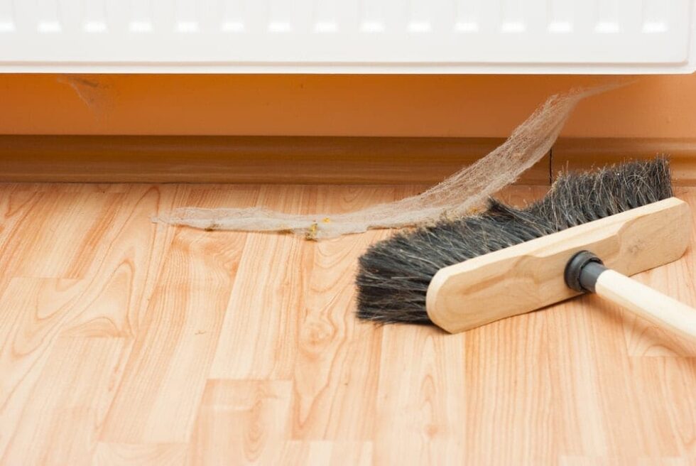 Cobwebs - Meridian Design Build